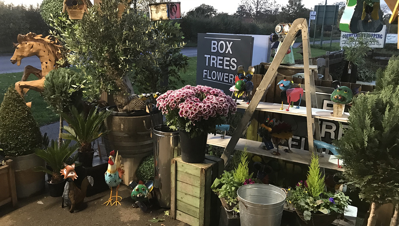 Box Trees Flowers – Florist