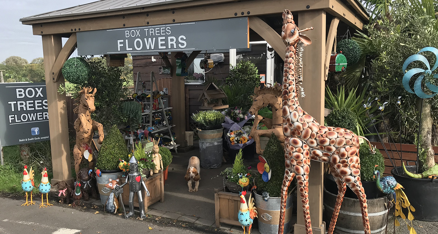 Box Trees Flowers – Florist